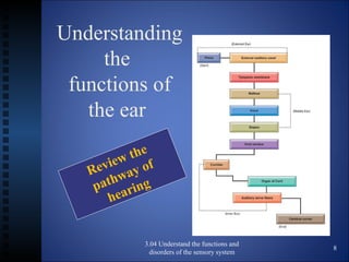 Functions and disorders of the ear | PPT
