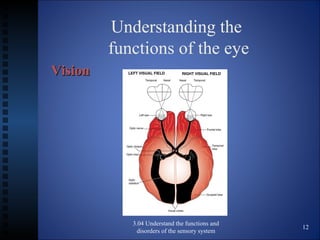 Functions and disorders of the eye | PPT