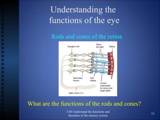 Functions and disorders of the eye | PPT