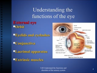 Functions and disorders of the eye | PPT