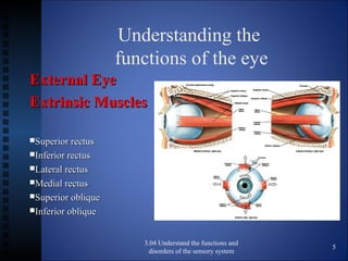 Functions and disorders of the eye | PPT