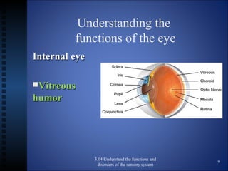 Functions and disorders of the eye | PPT