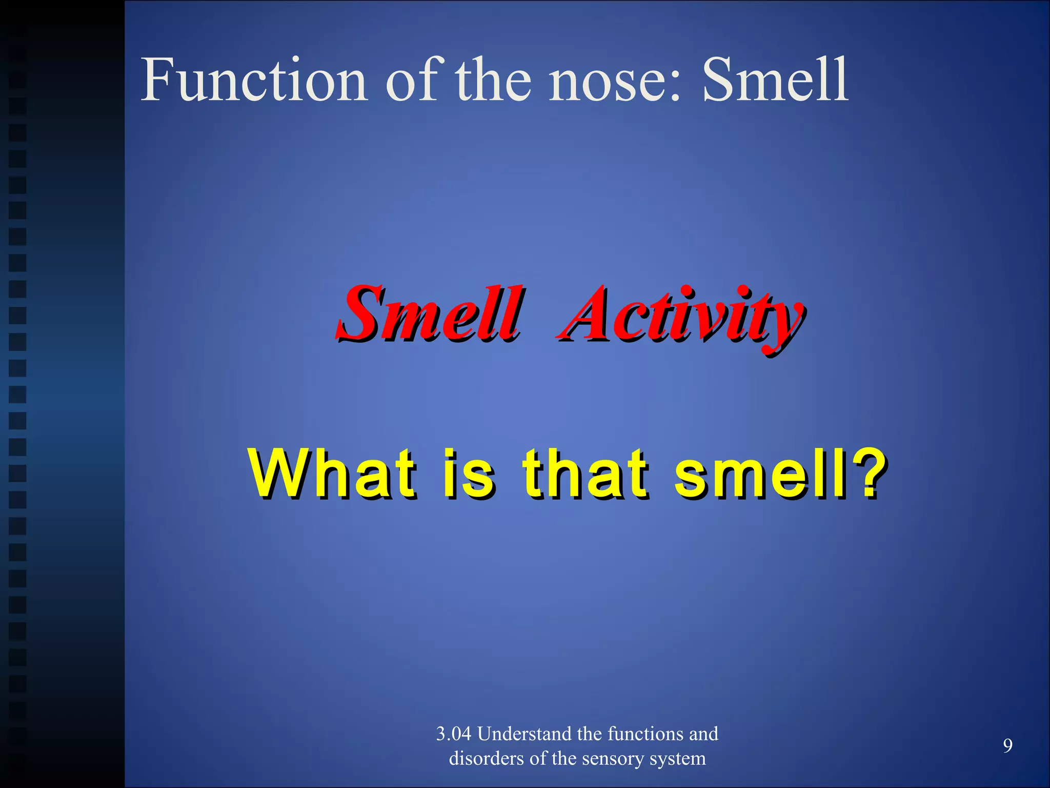 Functions and disorders of the nose | PPT