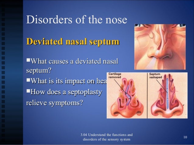 Functions and disorders of the nose