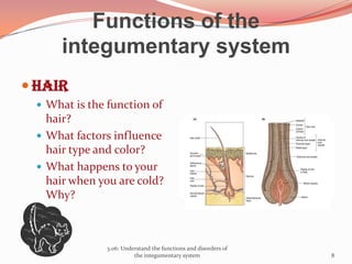 Functions and disorders of the Integumentary System | PPTX