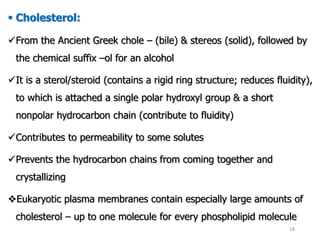 3-1-Membrane Structure.pptx