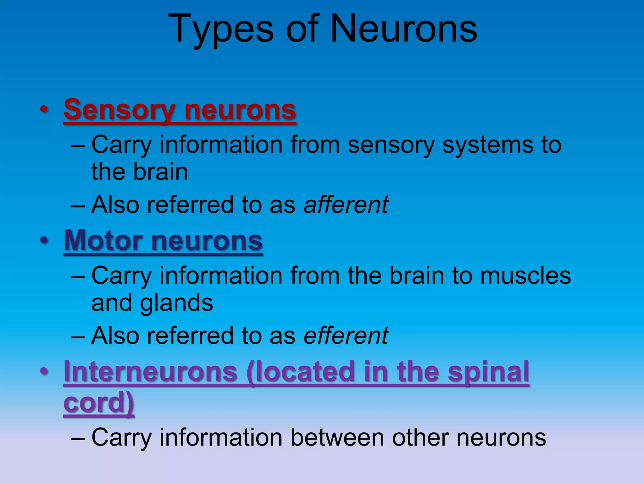3-1-Neuron Powerpoint.ppt