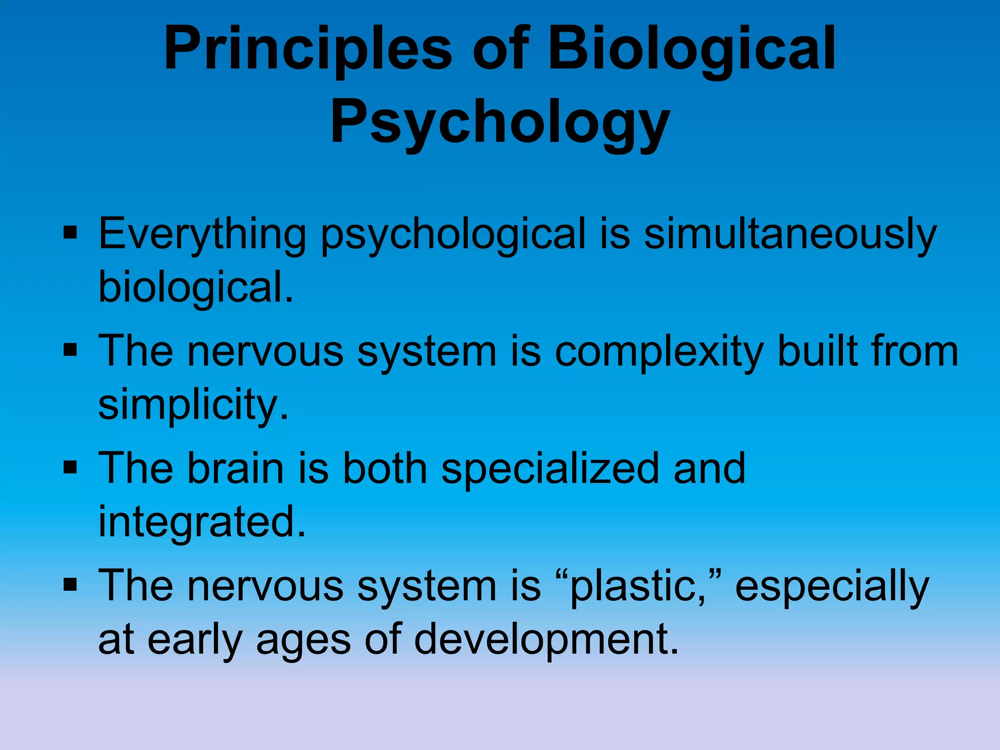 3-1-Neuron Powerpoint.ppt