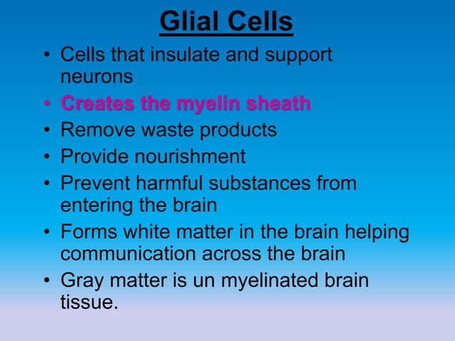3-1-Neuron Powerpoint.ppt