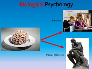 3-1-Neuron Powerpoint.ppt