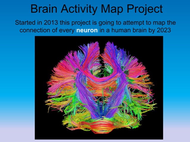 3-1-Neuron Powerpoint.ppt