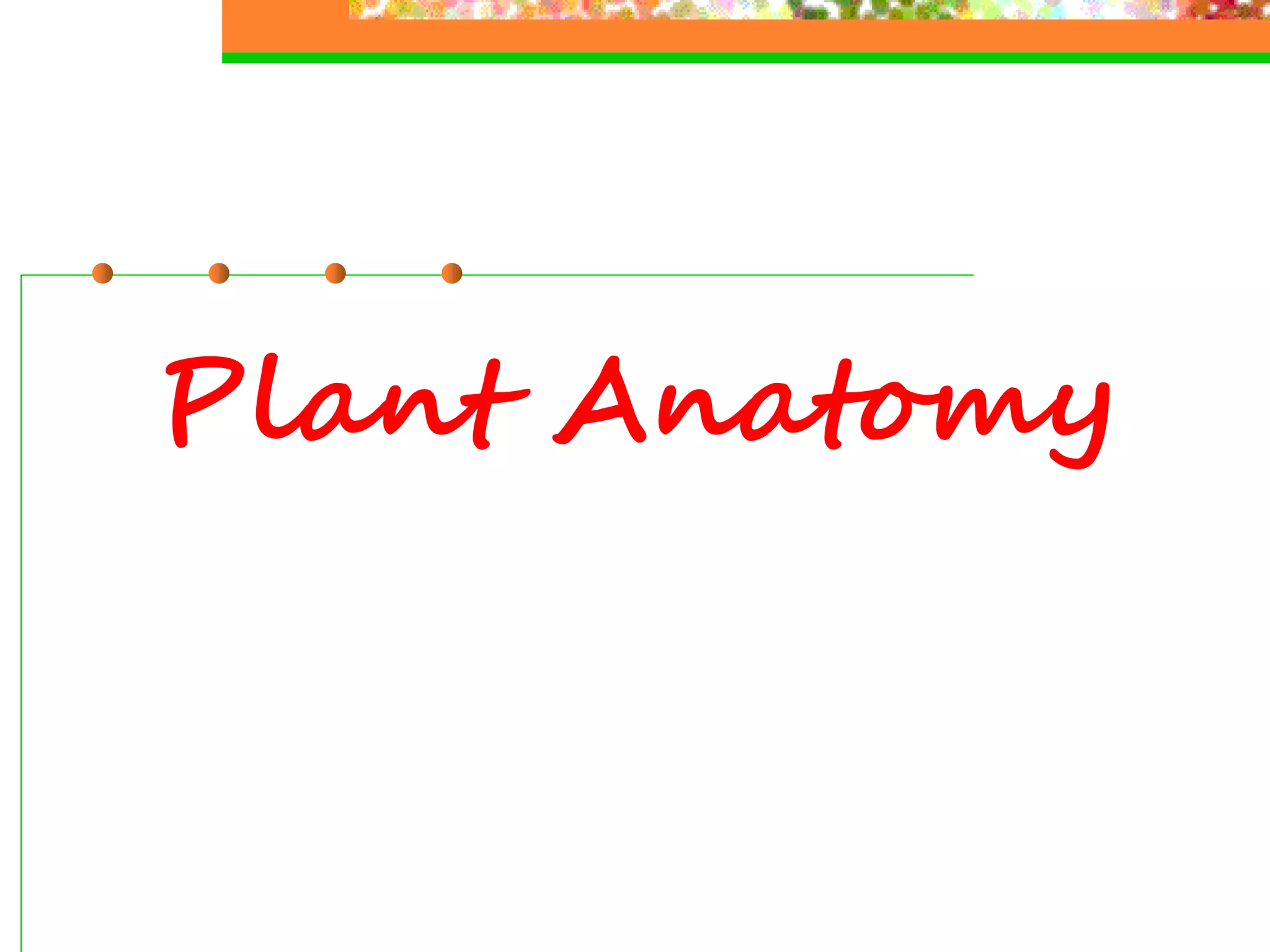 3 1-plant structural anatomy and physiology | PDF