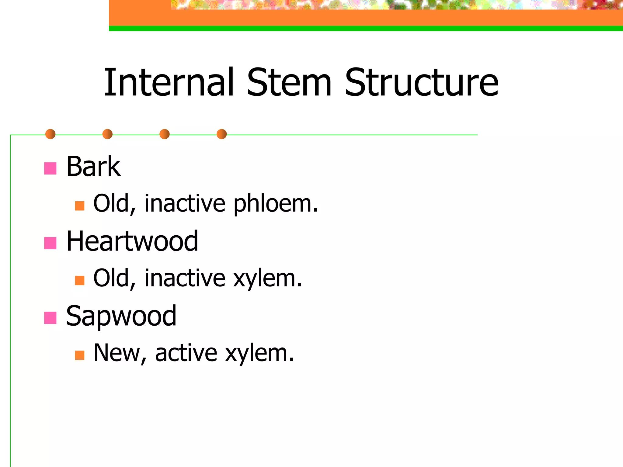 3 1-plant structural anatomy and physiology | PDF