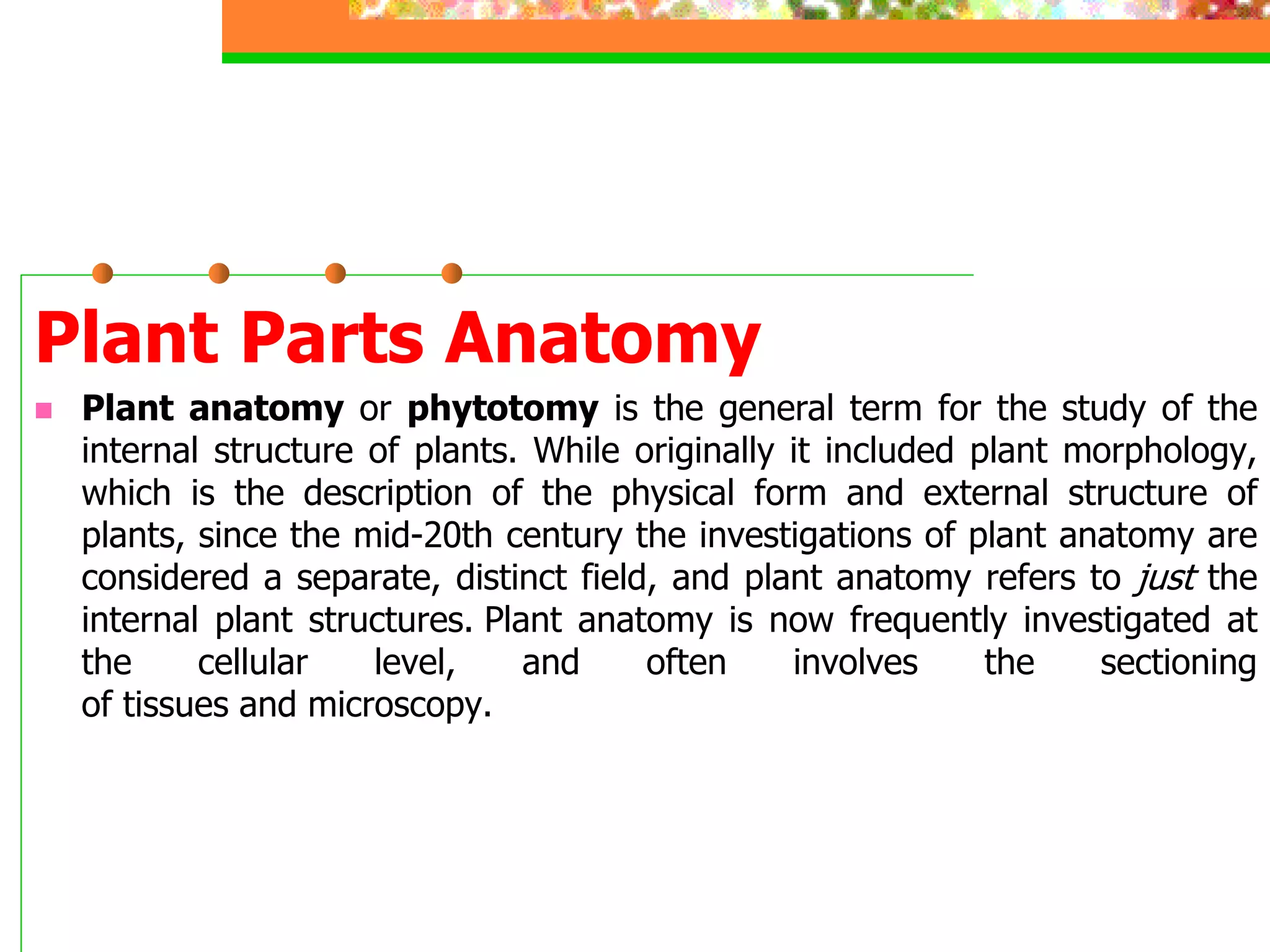 3 1-plant structural anatomy and physiology | PDF