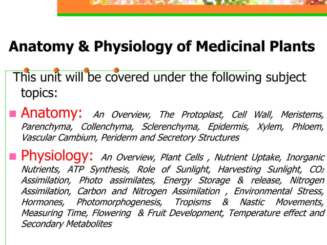 3 1-plant structural anatomy and physiology | PDF