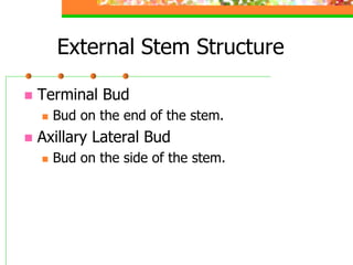 3 1-plant structural anatomy and physiology | PDF