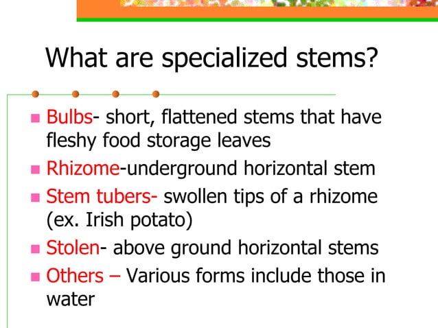 3 1-plant structural anatomy and physiology | PDF