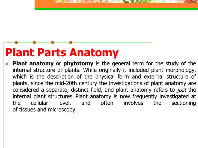 3 1-plant structural anatomy and physiology | PDF