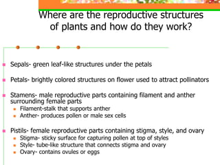 3 1-plant structural anatomy and physiology | PDF