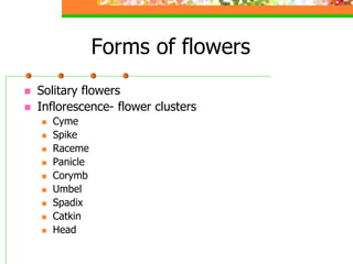 3 1-plant structural anatomy and physiology | PDF