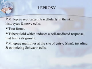 Clinical manifestation and management of leprosy | PPT