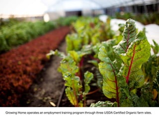 3.11 Harry Rhodes | PPT