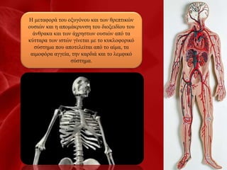 Μεταφορά και αποβολή ουσιών στον άνθρωπο | PDF