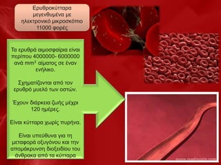 Μεταφορά και αποβολή ουσιών στον άνθρωπο | PDF