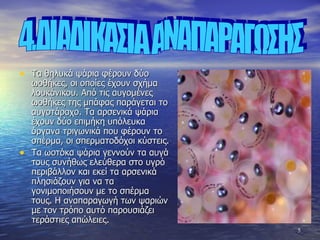 Η αναπαραγωγή των ψαριών-Μαρία Μποσμή | PPT