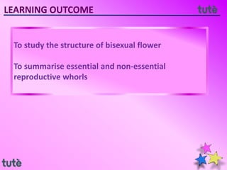 12th - the flower - biology | PPTX