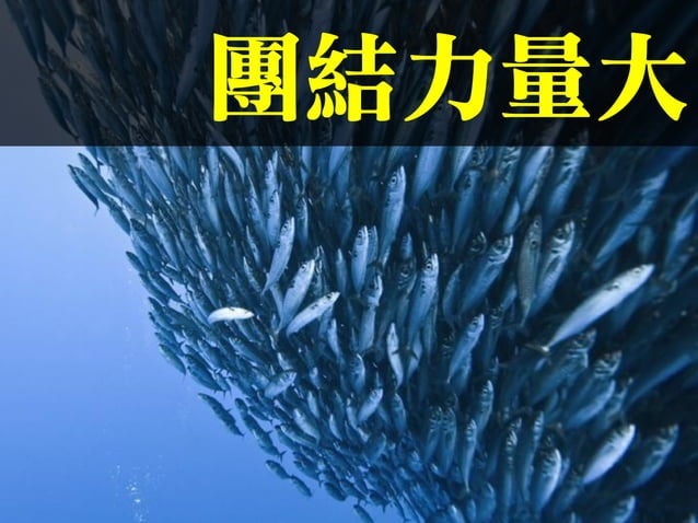 HP47 101 Design Methods | PDF