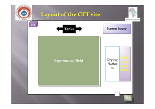B4FA 2012 Ghana: Transgenic Crop Projects in Ghana - IDK Atokple | PDF