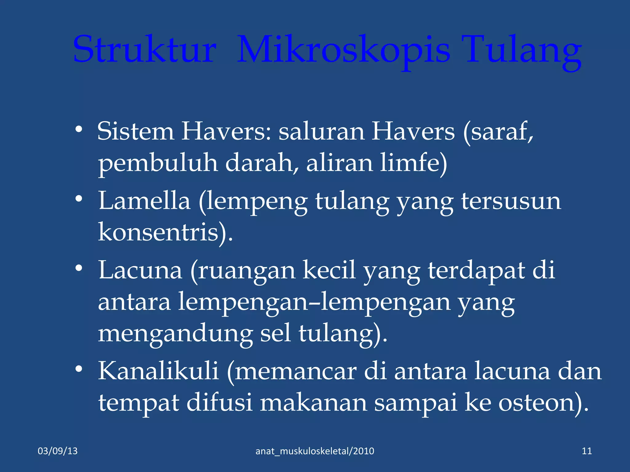 3. fisiologi sistem muskulo skeletal | PPT