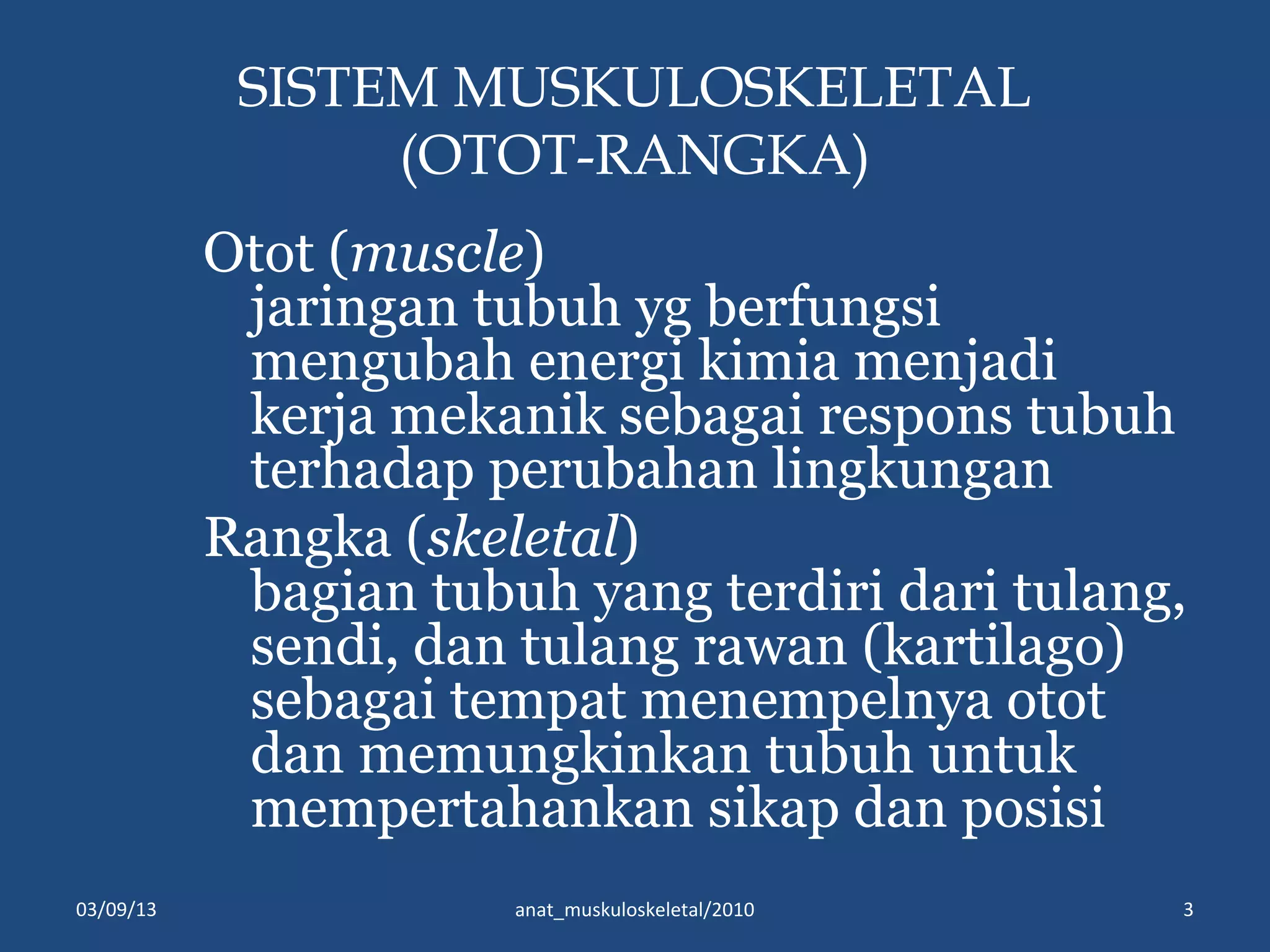 3. fisiologi sistem muskulo skeletal | PPT