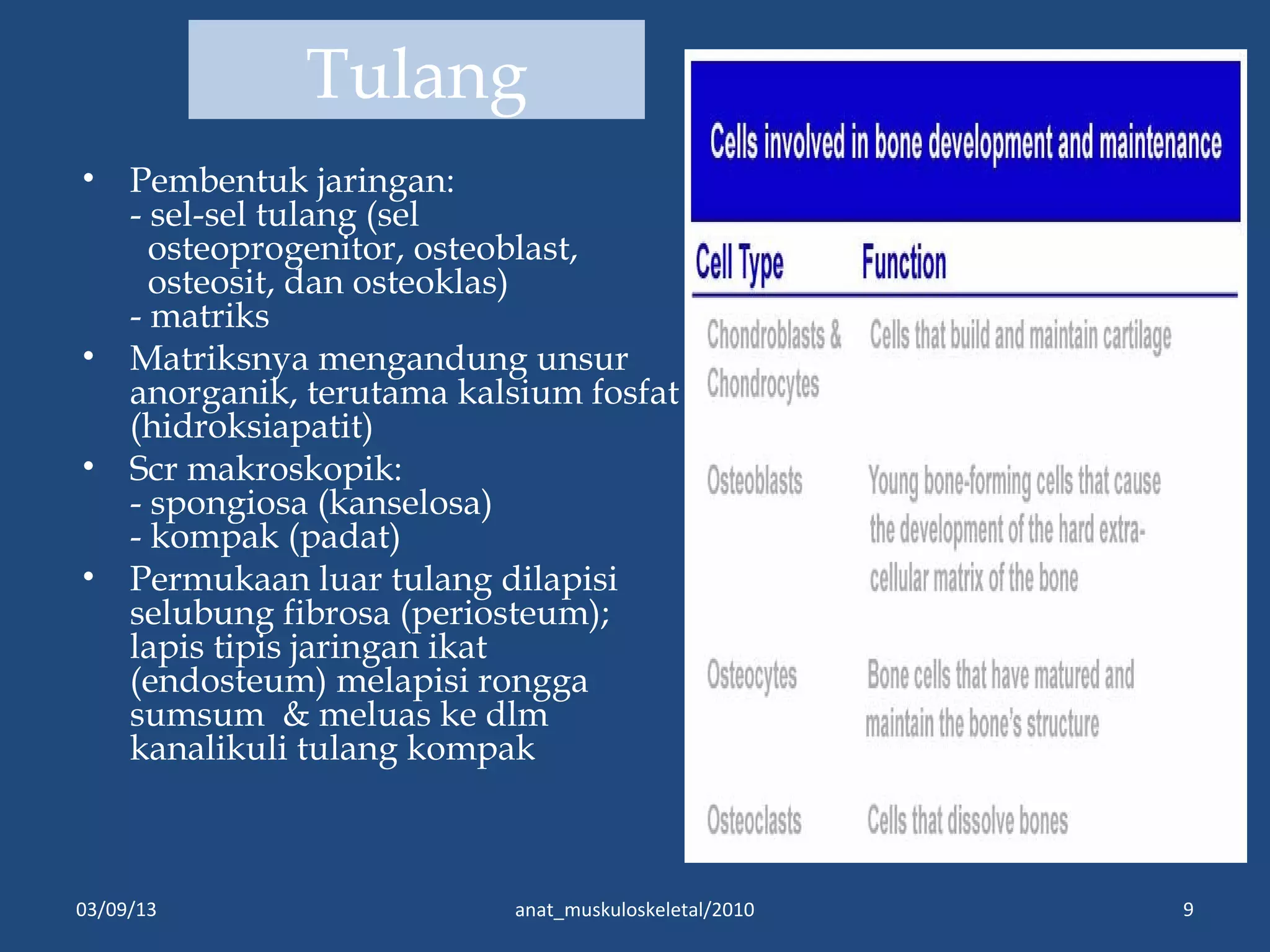 3. fisiologi sistem muskulo skeletal | PPT