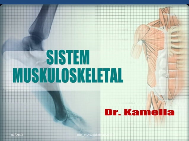 3. fisiologi sistem muskulo skeletal | PPT