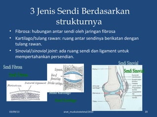 3. fisiologi sistem muskulo skeletal | PPT