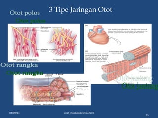 3. fisiologi sistem muskulo skeletal | PPT