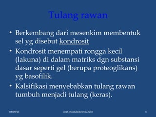 3. fisiologi sistem muskulo skeletal | PPT