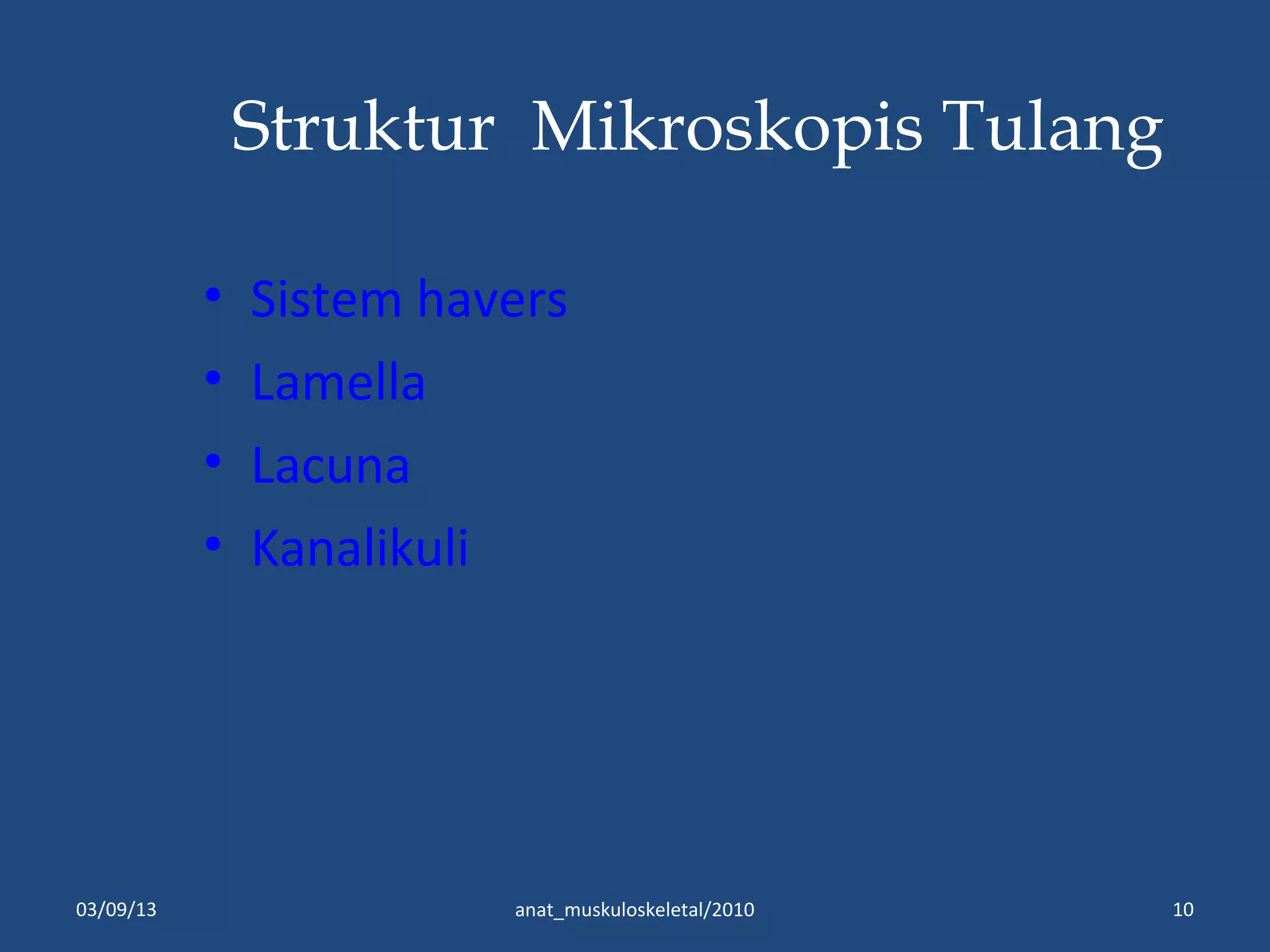 3. fisiologi sistem muskulo skeletal | PPT