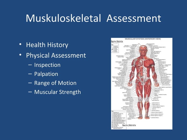 3. fisiologi sistem muskulo skeletal | PPT