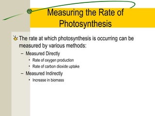 3.8 photosynthesis | PPT