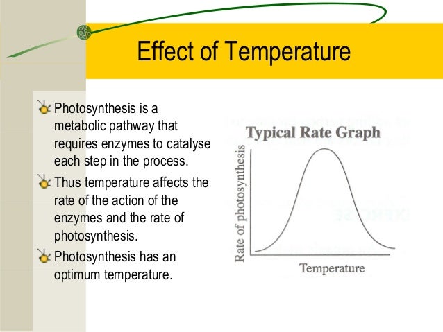 3.8 photosynthesis