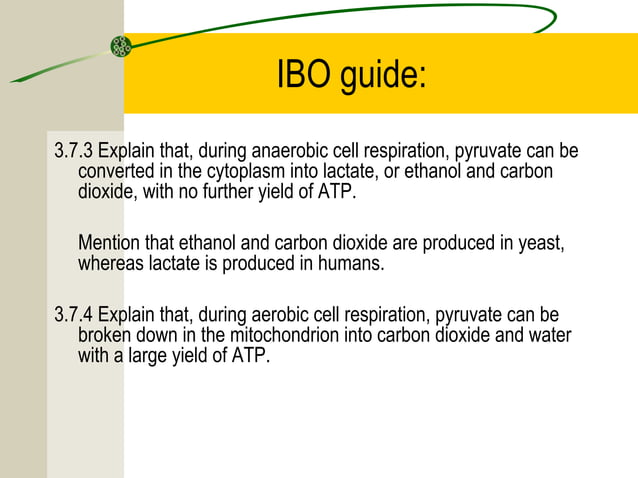 3.7 cell respiration | PPT