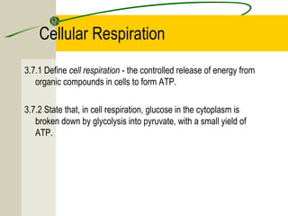3.7 cell respiration | PPT