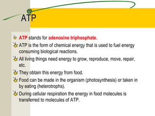 3.7 cell respiration | PPT