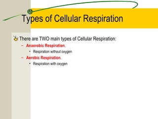 3.7 cell respiration | PPT