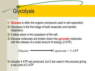 3.7 cell respiration | PPT