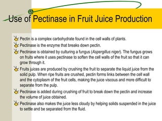3.6 enzymes | PPT | Chemistry | Science