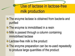 3.6 enzymes | PPT